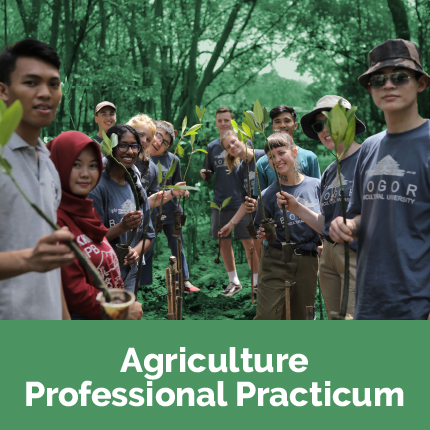 Agriculture Professional Practicum (APP) - ACICIS. Study Indonesia.