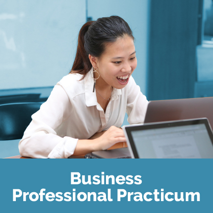 Business Professional Practicum (BPP) - ACICIS. Study Indonesia.